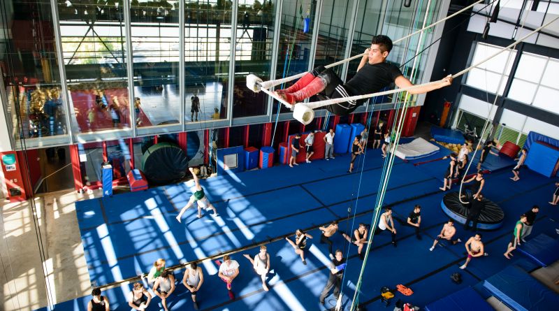 What’s the Point of a Degree in Circus Arts? - StageLync