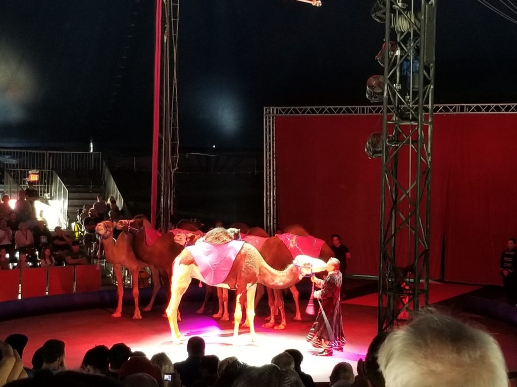 Circus Fans of America—Seeking Next Generation of Torchbearers for ...