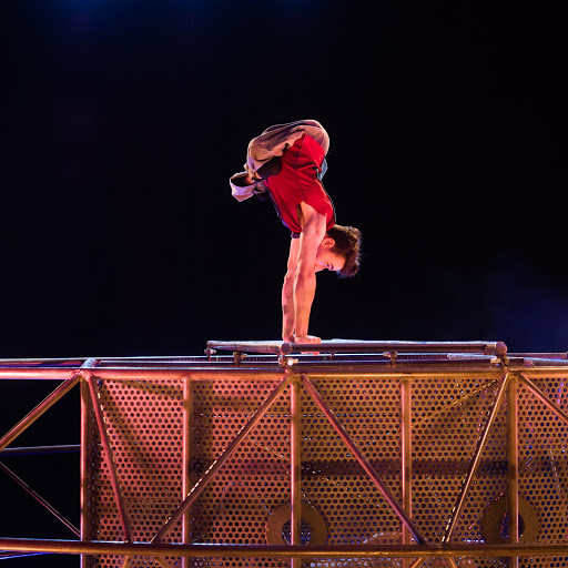 Circus For Every Body-The Extraordinary Bodies Story So Far - StageLync