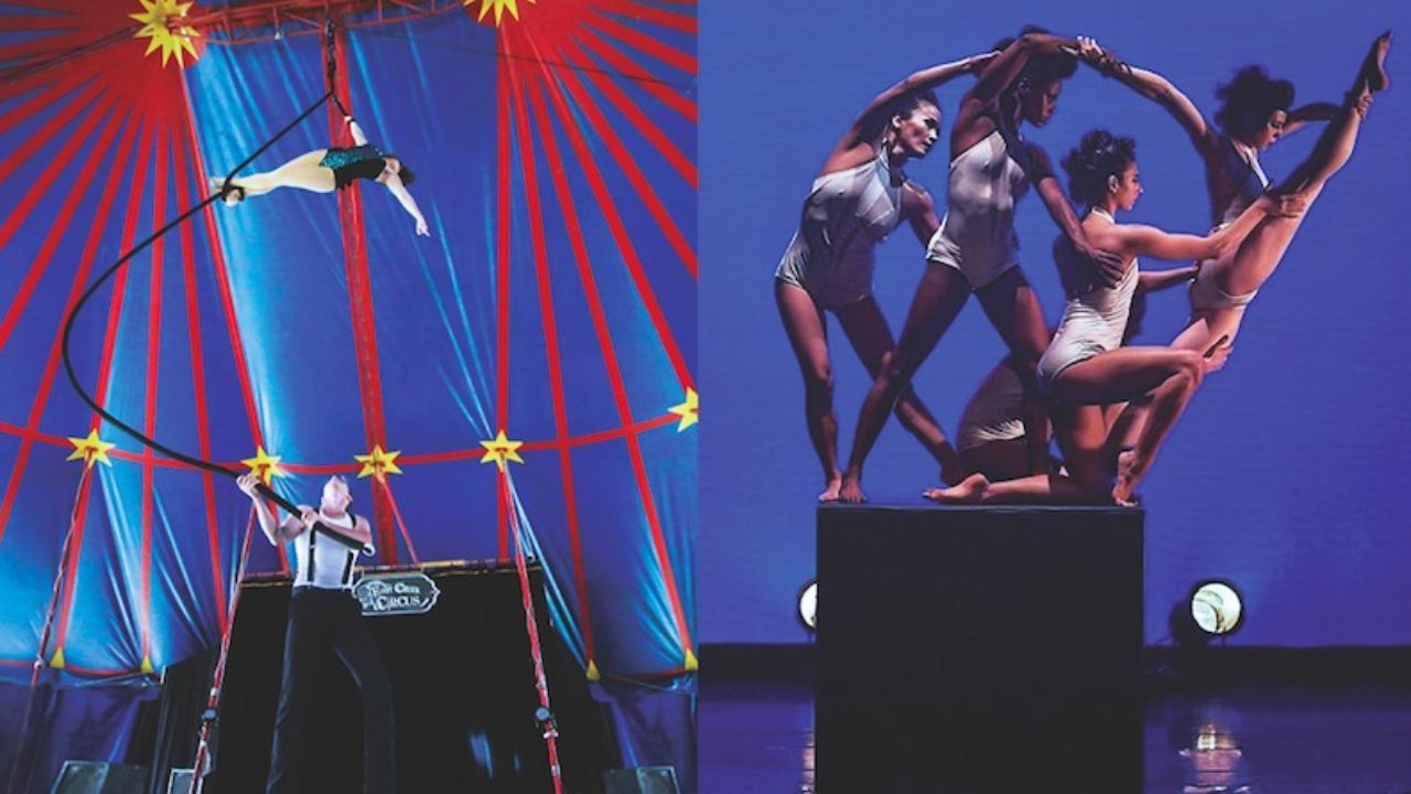 Circus Talk Talking About The Circus Speaking Activity ESL