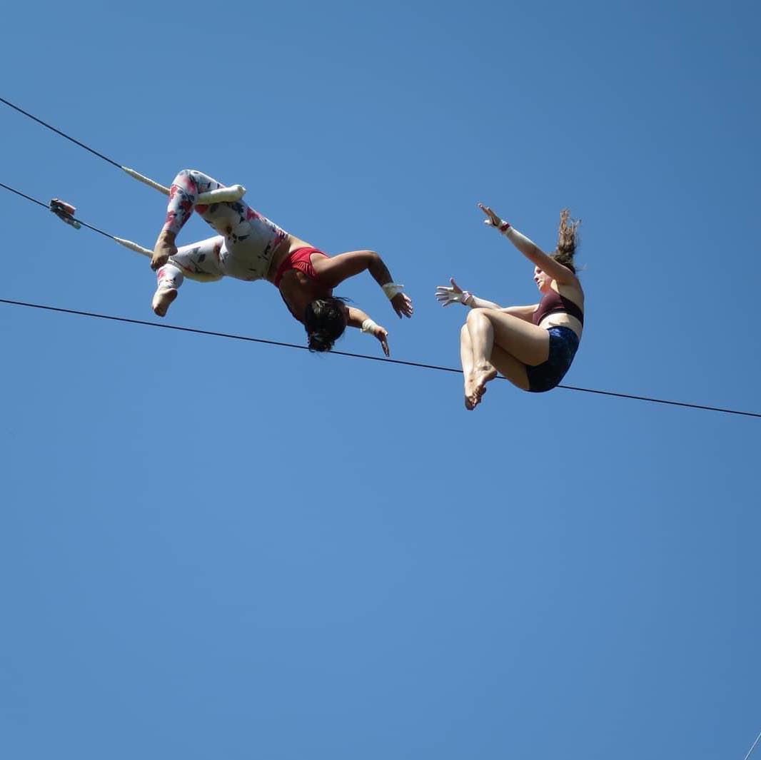 Flying Trapeze Won’t Make Women Infertile: How Victorian-era ...