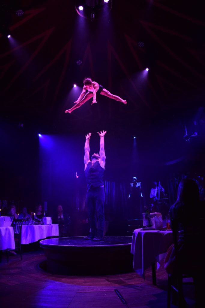 Circus Immersion - Lights on Those in Their Flyer’s Shadow-Pro ...