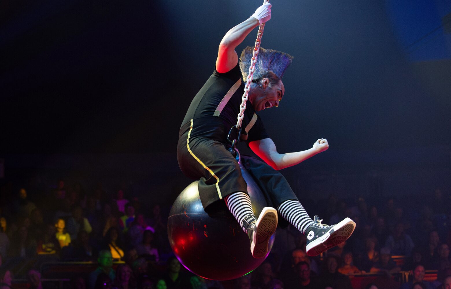 Nik Wallenda's Wonderland Returns to Sarasota for Season 2 - StageLync